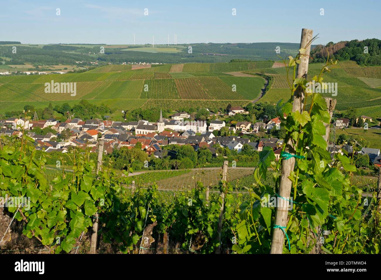 Remich kanton Stockfotos und -bilder Kaufen - Alamy