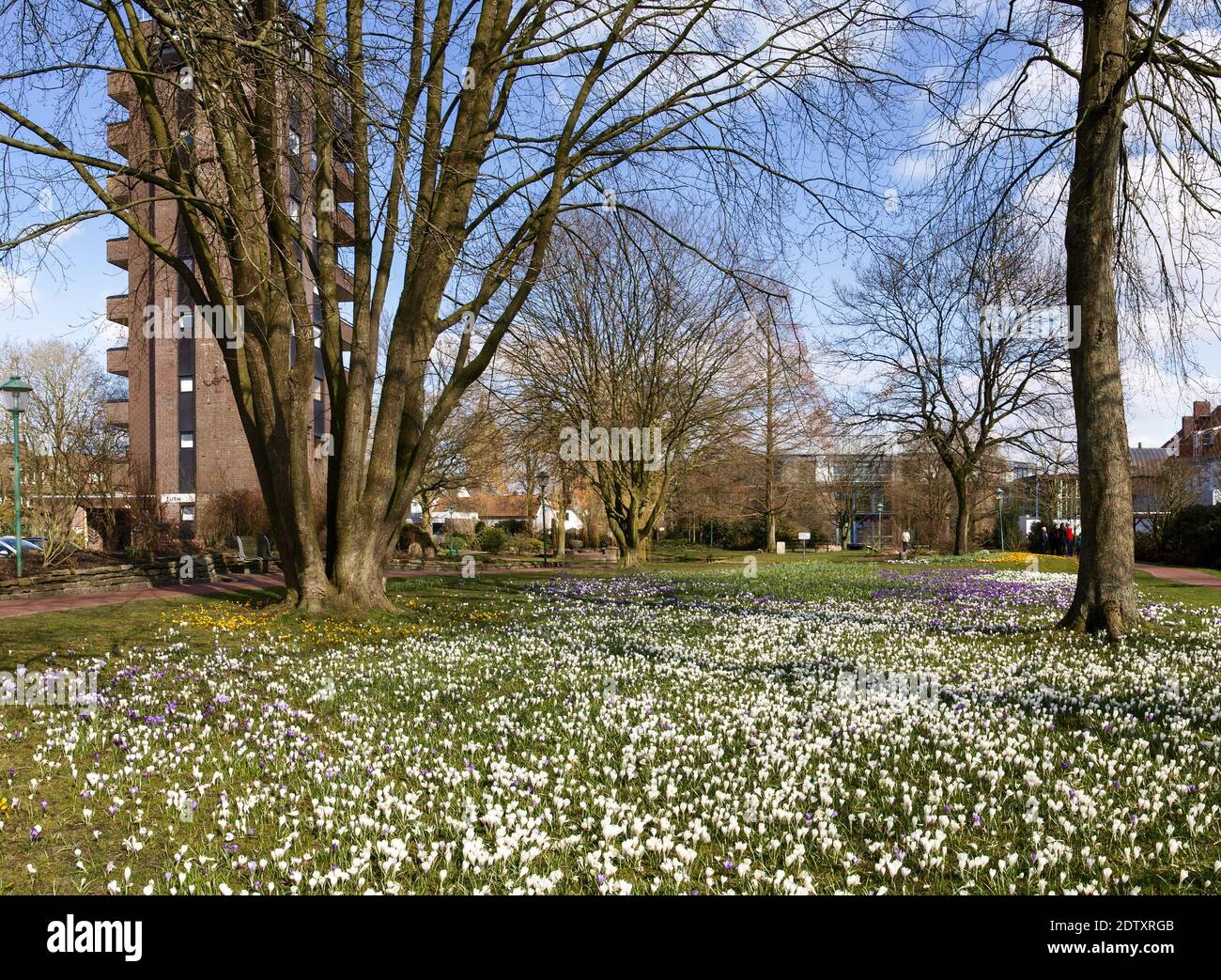Stadt von westerstede -Fotos und -Bildmaterial in hoher Auflösung – Alamy