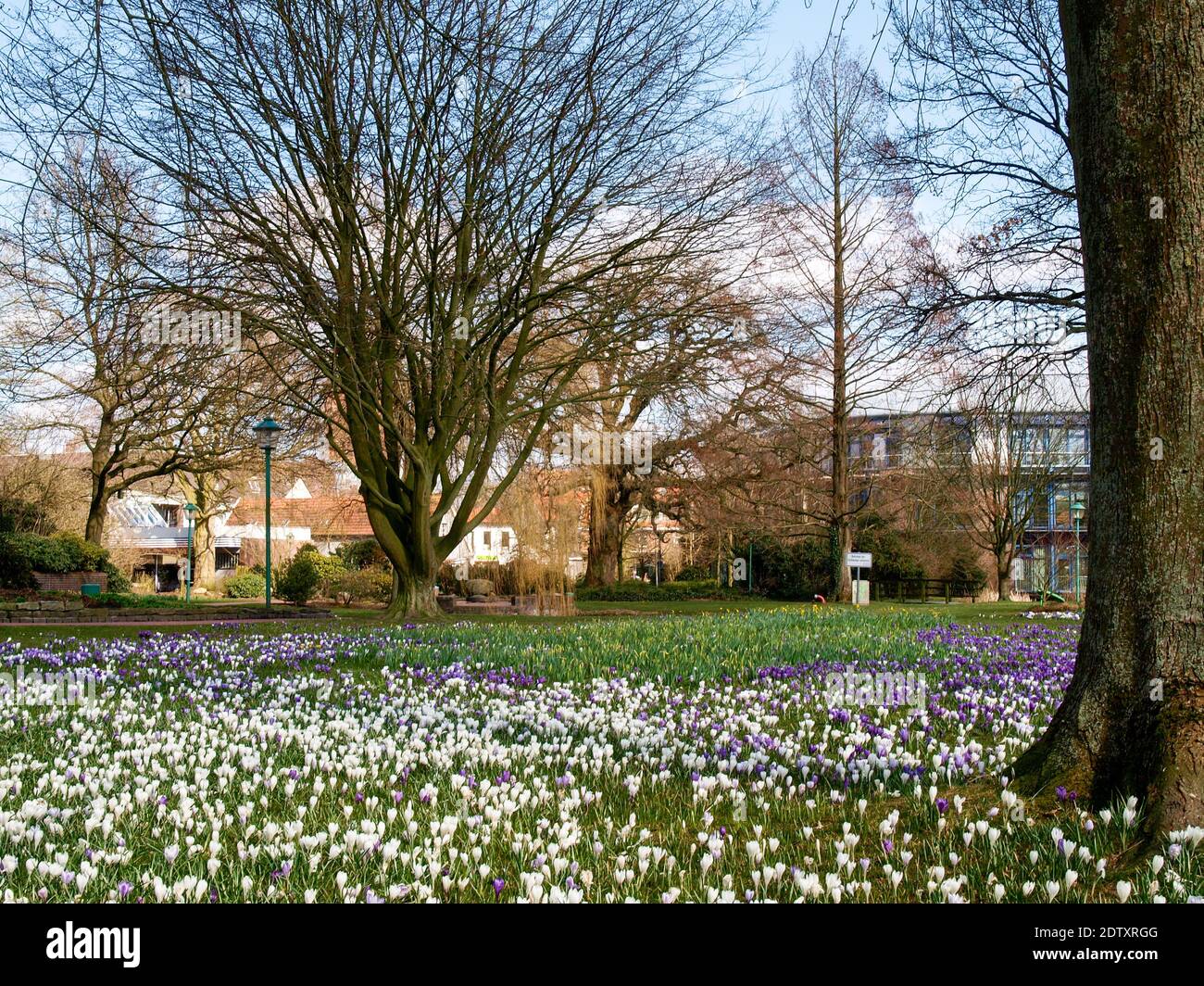 Stadt Von Westerstede Stockfotos und -bilder Kaufen - Alamy