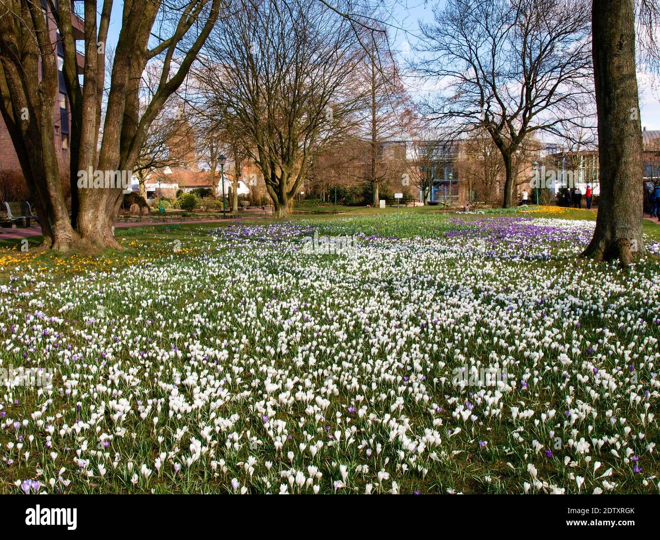 Stadt Von Westerstede Stockfotos und -bilder Kaufen - Alamy