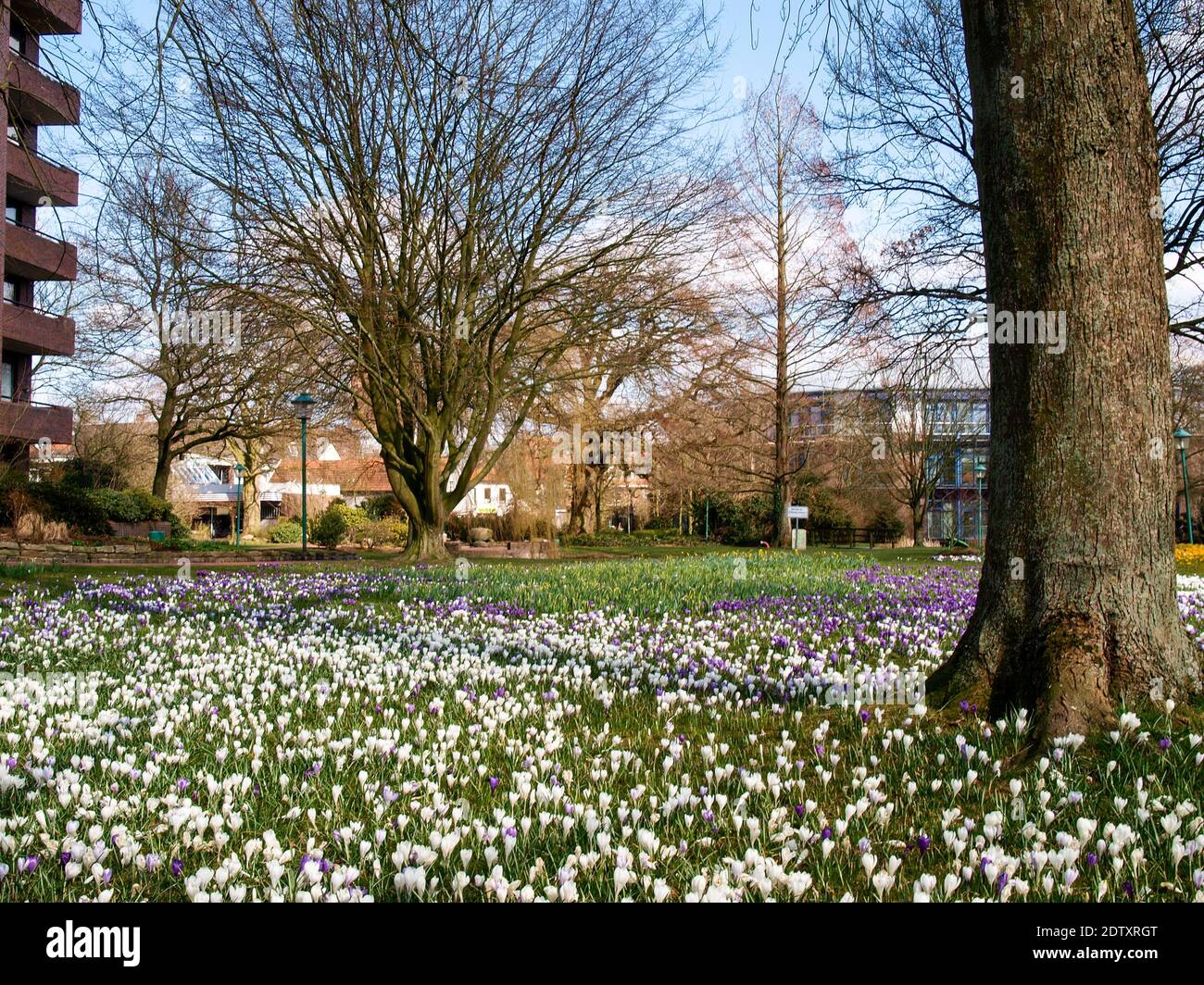 Stadt von westerstede -Fotos und -Bildmaterial in hoher Auflösung – Alamy
