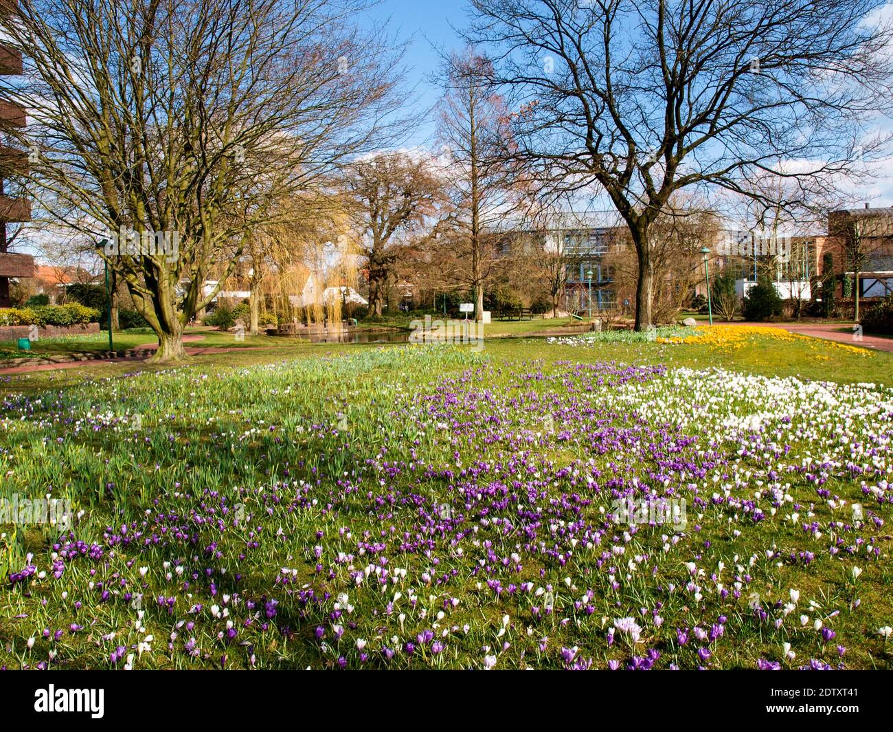 Stadt von westerstede -Fotos und -Bildmaterial in hoher Auflösung – Alamy