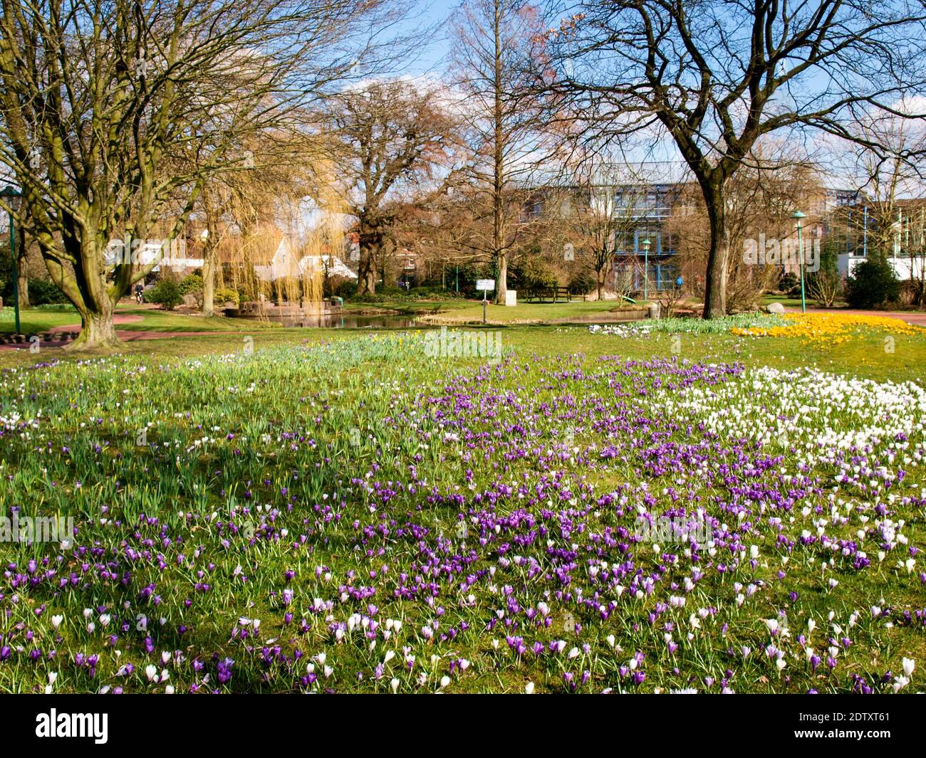 Stadt von westerstede -Fotos und -Bildmaterial in hoher Auflösung – Alamy