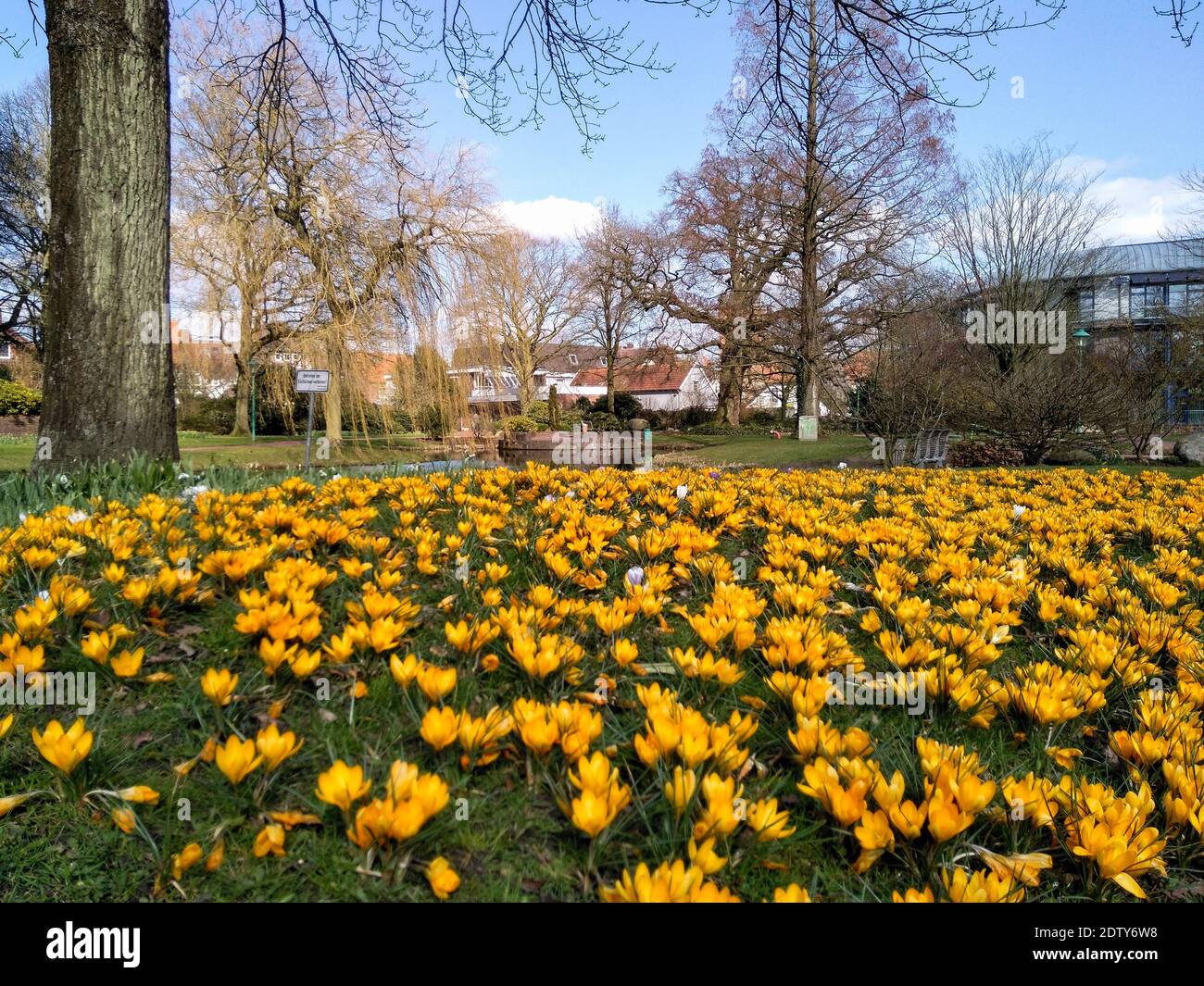 Stadt von westerstede -Fotos und -Bildmaterial in hoher Auflösung – Alamy