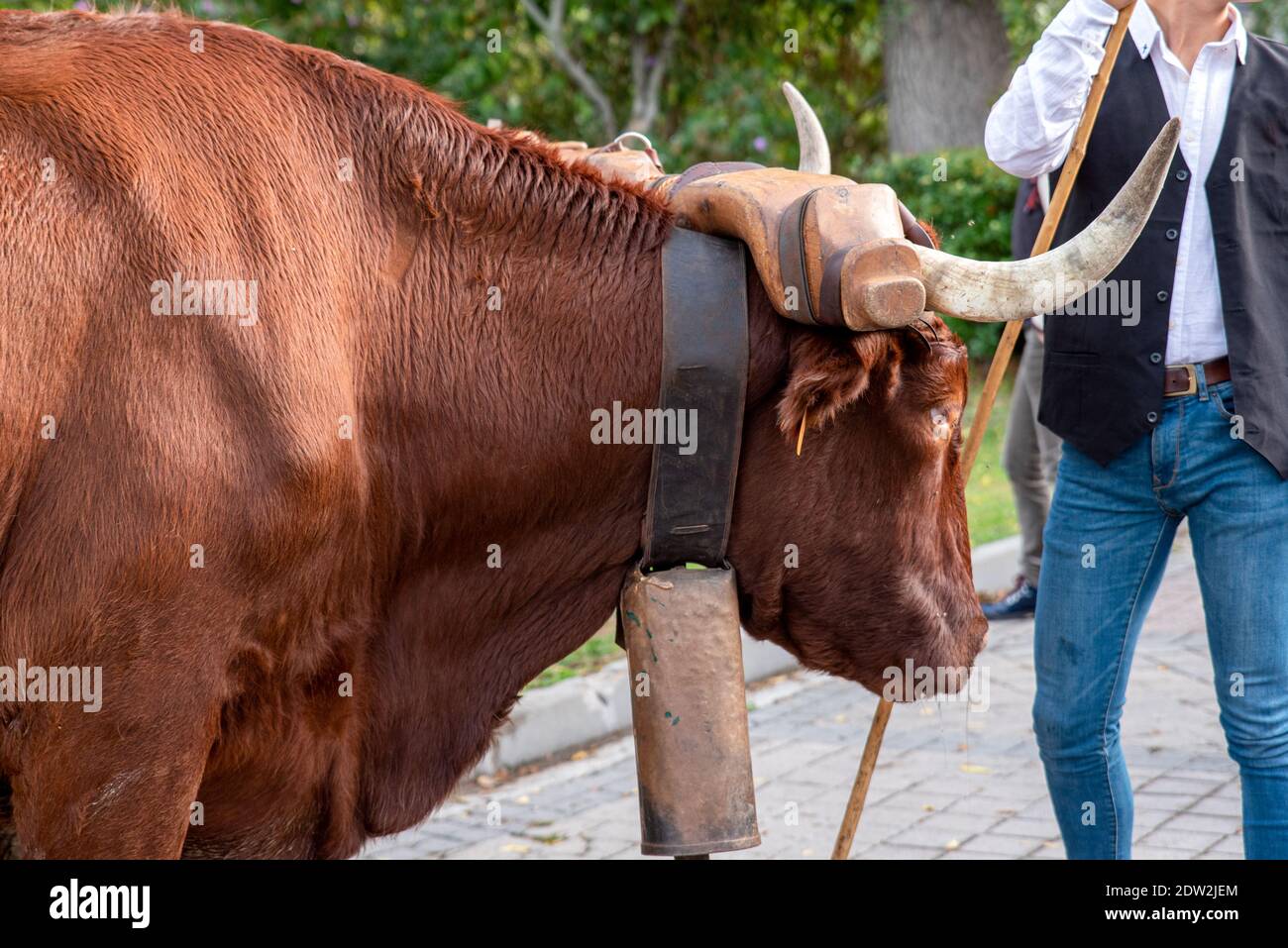 Party in madrid -Fotos und -Bildmaterial in hoher Auflösung – Alamy
