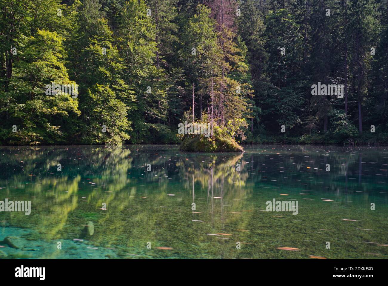 Waldsee bayern -Fotos und -Bildmaterial in hoher Auflösung – Alamy