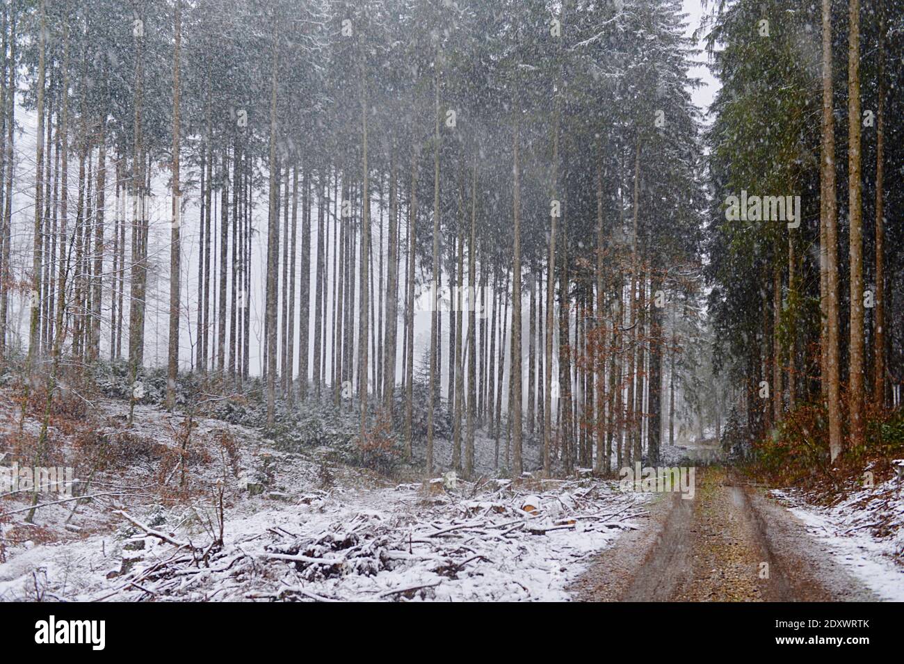 Ulm im winter -Fotos und -Bildmaterial in hoher Auflösung – Alamy
