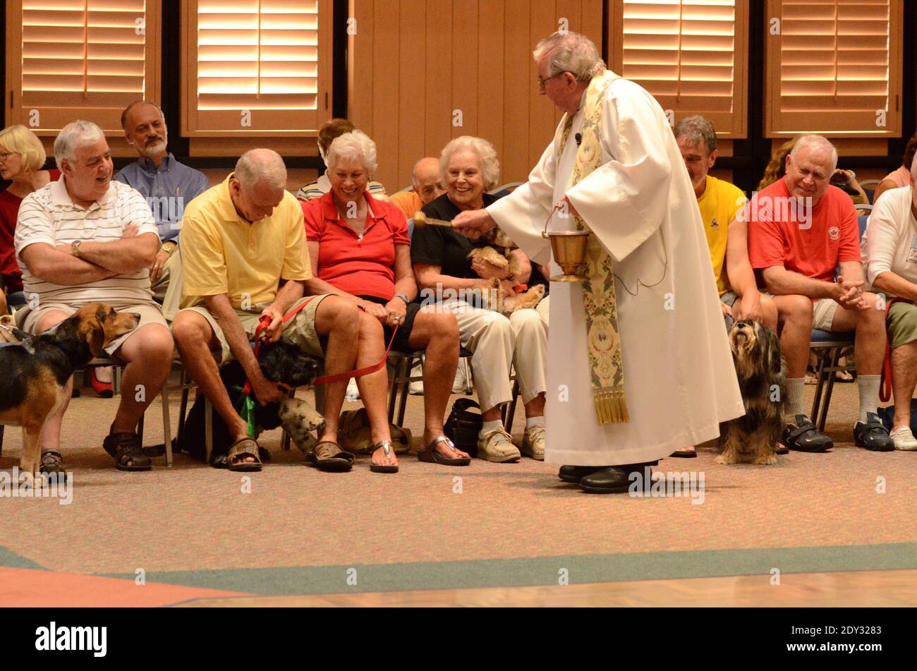 Heiliger vater assisi -Fotos und -Bildmaterial in hoher Auflösung – Alamy