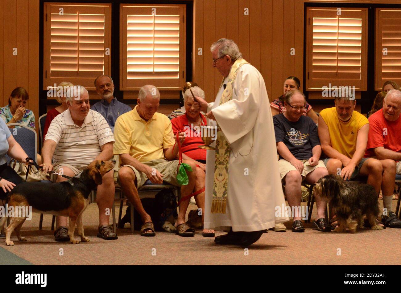 Heiliger vater assisi -Fotos und -Bildmaterial in hoher Auflösung – Alamy