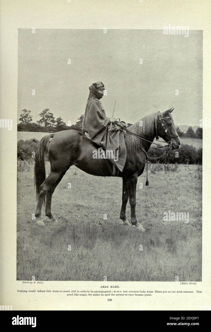 Anne stumpf -Fotos und -Bildmaterial in hoher Auflösung – Alamy