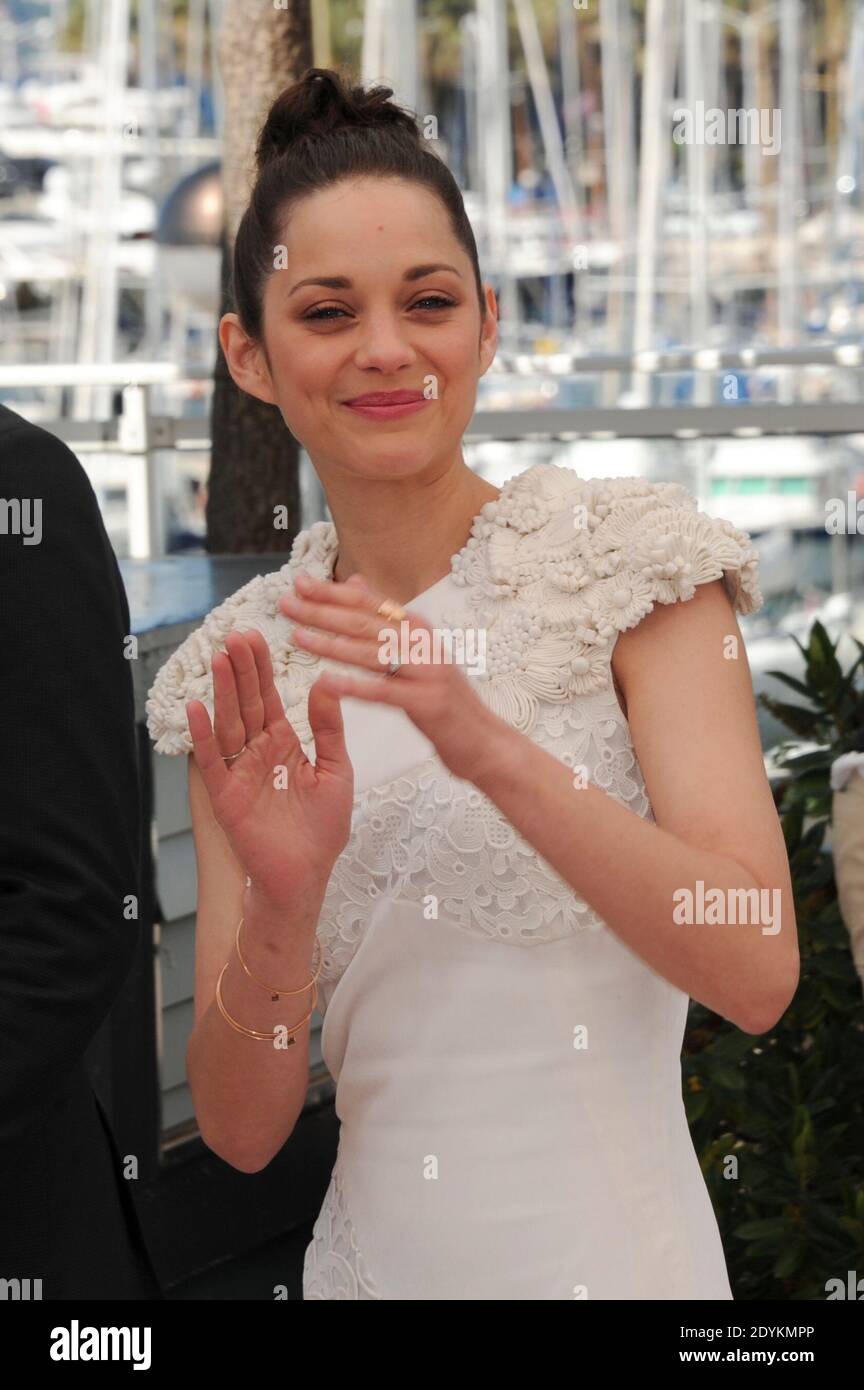 Marion Cotillard posiert beim Fotocall für den Film The Immigrant, der ...