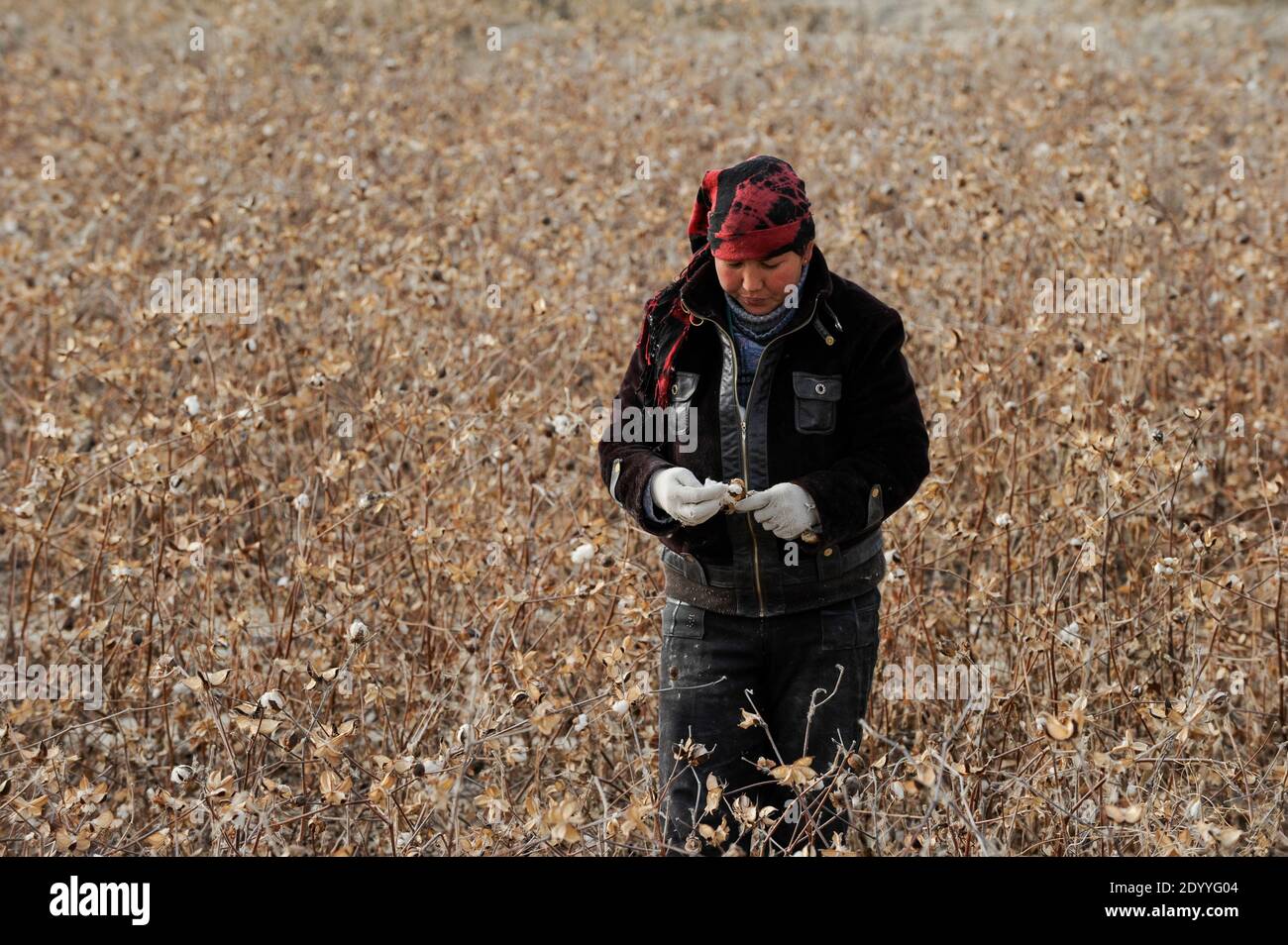 Uigur land -Fotos und -Bildmaterial in hoher Auflösung – Alamy
