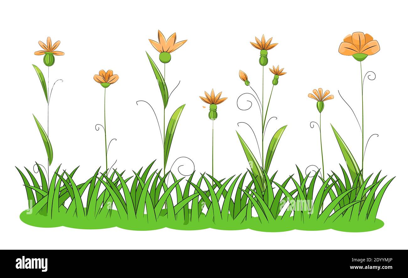 Blühende Wiese mit Gras und Blumen. Cartoon Just Style. Isoliert auf ...