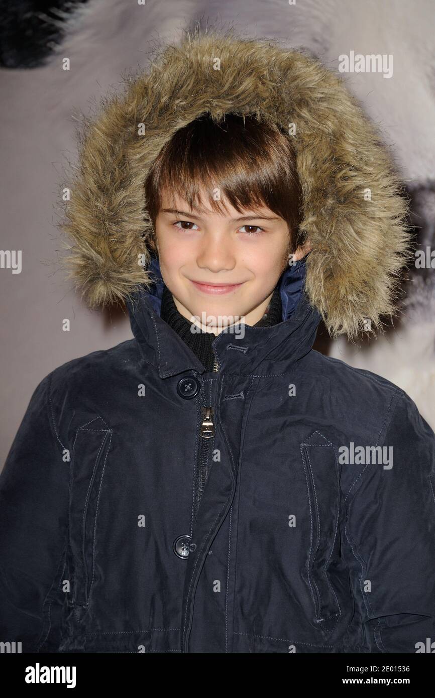 Bossuet felix -Fotos und -Bildmaterial in hoher Auflösung – Alamy