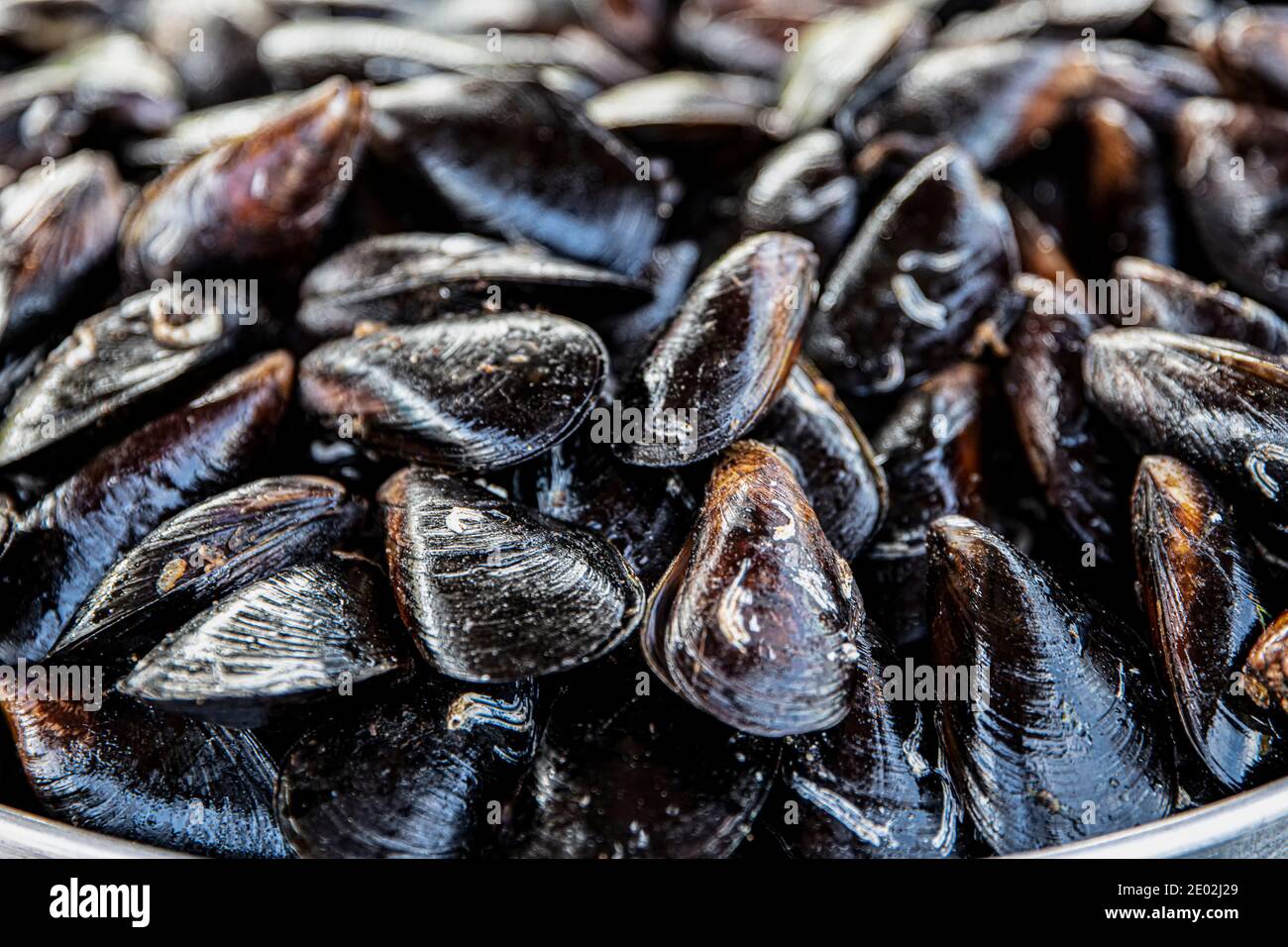 Gekochte Produkte Stockfotos und -bilder Kaufen - Alamy
