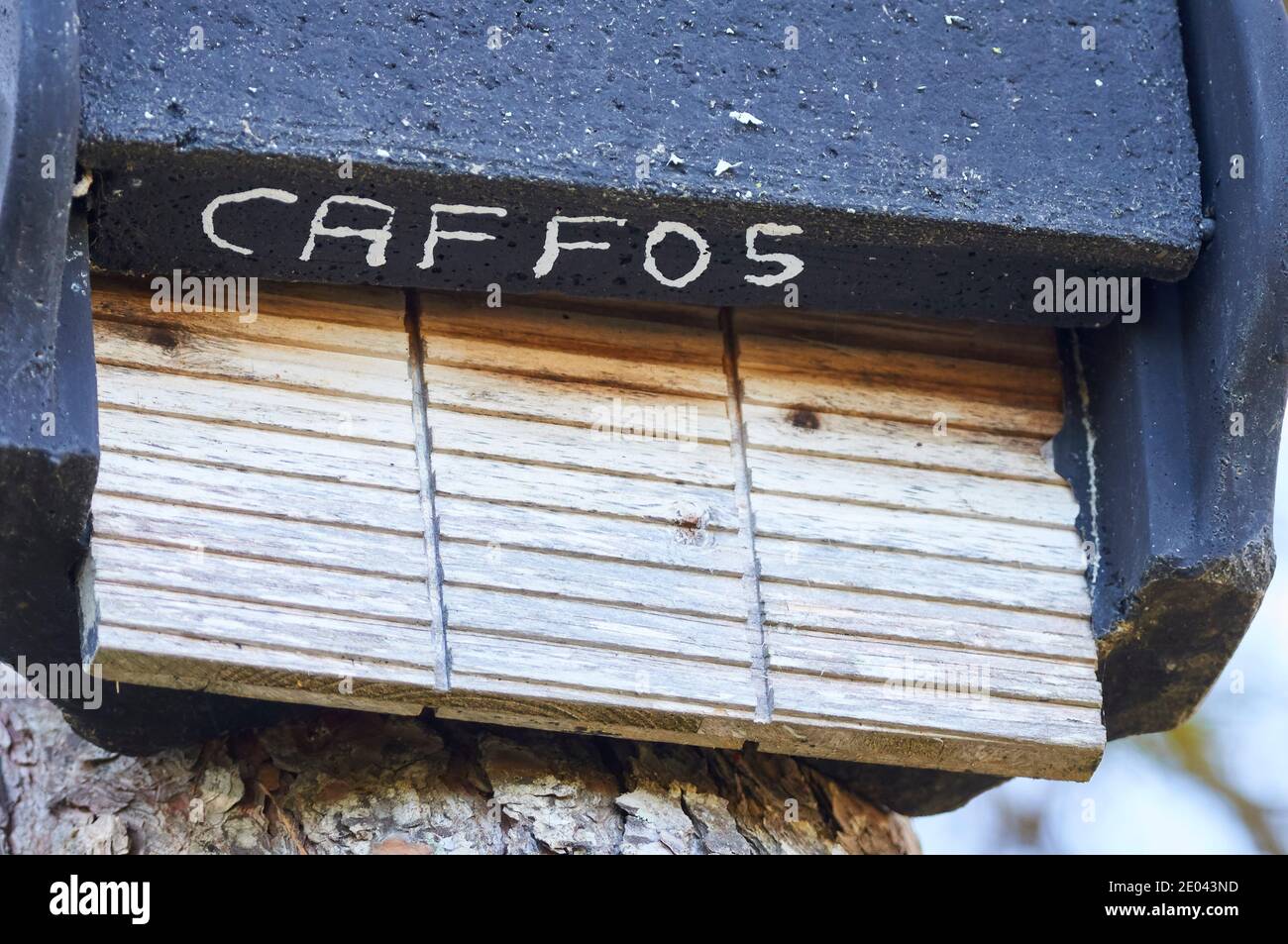 Schwegler 1ff flat bat box -Fotos und -Bildmaterial in hoher Auflösung ...