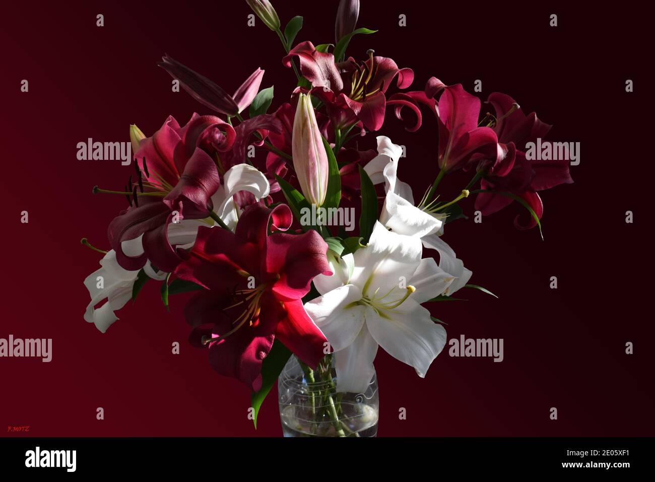 Rouge und blanc -Fotos und -Bildmaterial in hoher Auflösung – Alamy