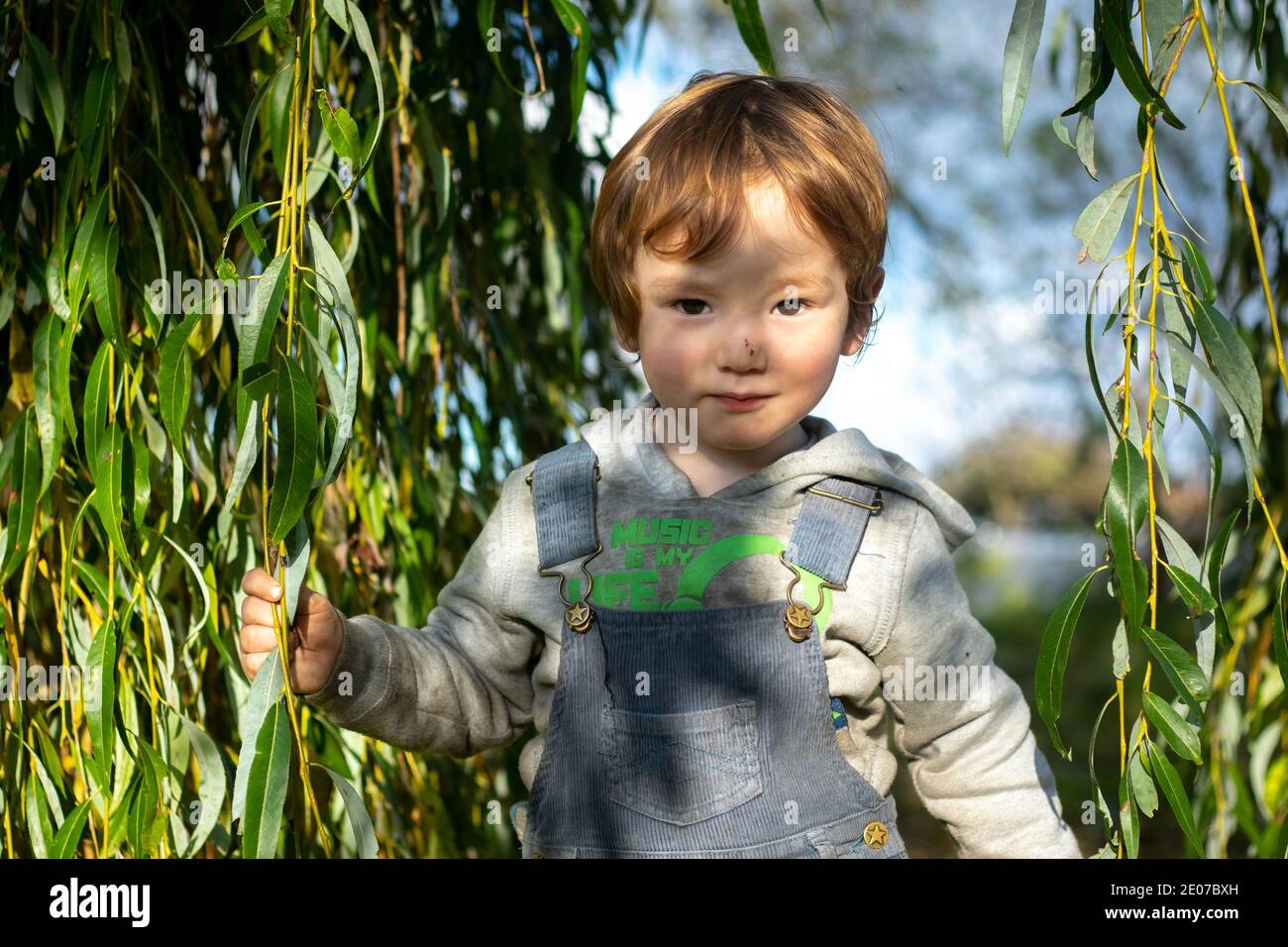 Mutig mutig mutig -Fotos und -Bildmaterial in hoher Auflösung – Alamy