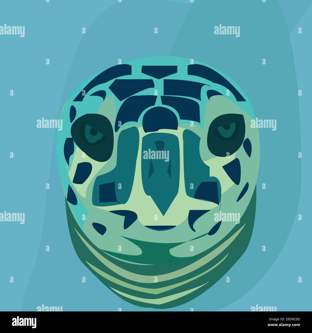Cara de tortuga Stock-Vektorgrafiken kaufen - Alamy