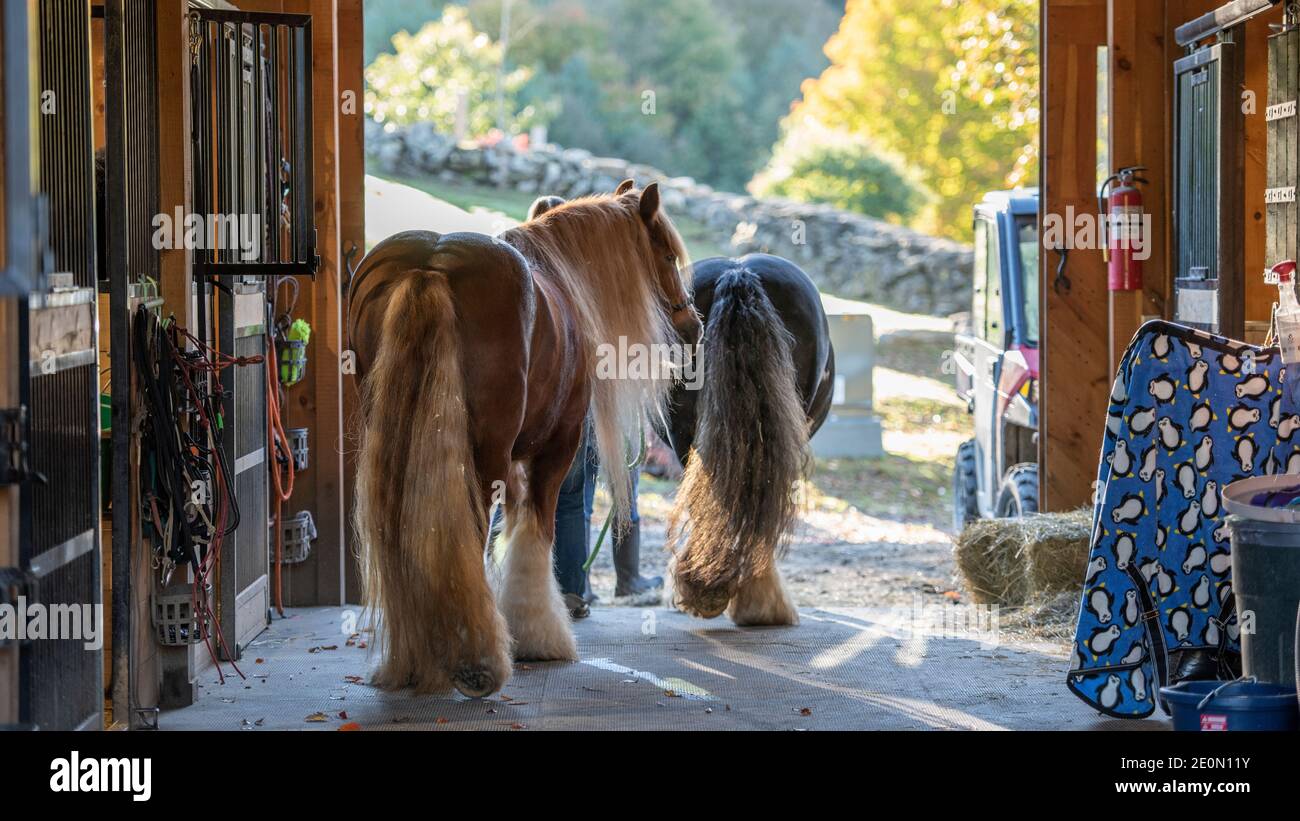 Stall spaziergang -Fotos und -Bildmaterial in hoher Auflösung – Alamy