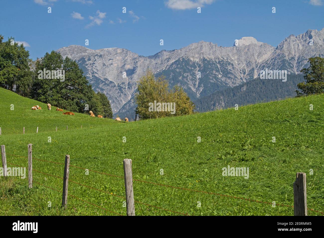 Saalfelden vom steinernen meer -Fotos und -Bildmaterial in hoher ...