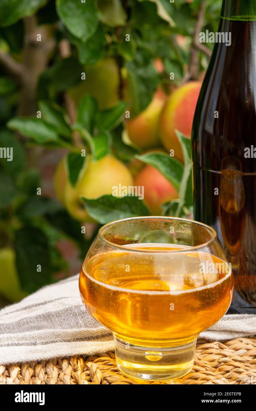 Glas Brut Apfelwein aus der Normandie im Garten serviert In Frankreich ...