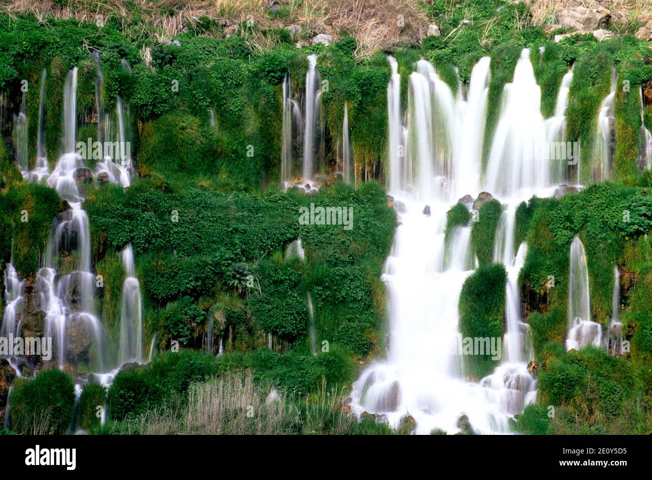 Minnie miller -Fotos und -Bildmaterial in hoher Auflösung – Alamy