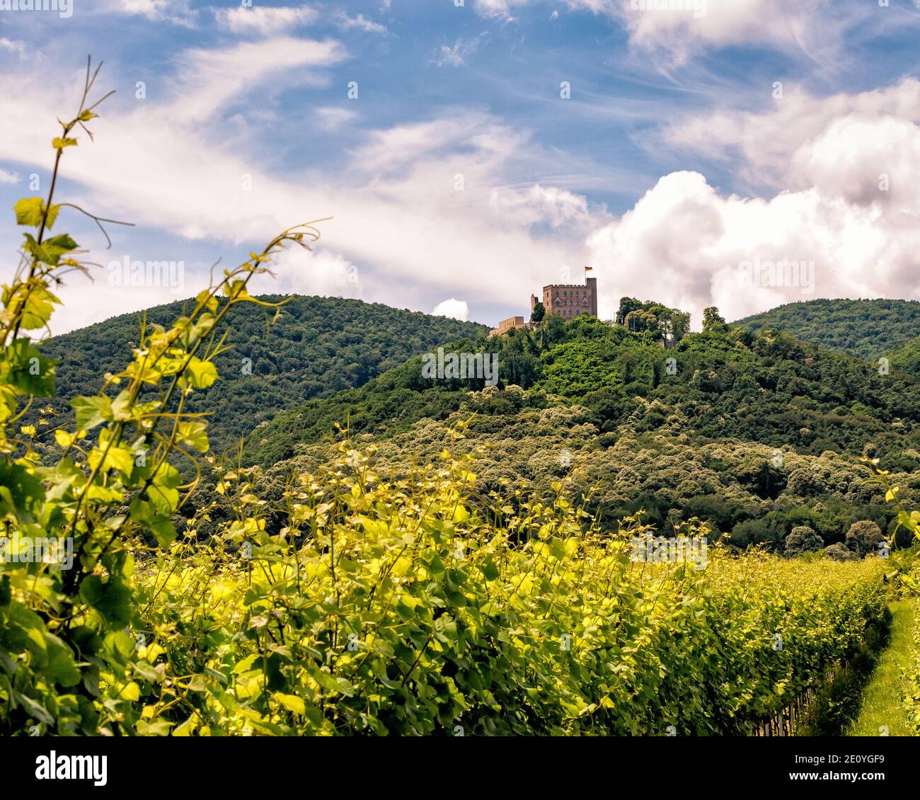 Suedliche Weinstrasse Germany Stockfotos und -bilder Kaufen - Alamy