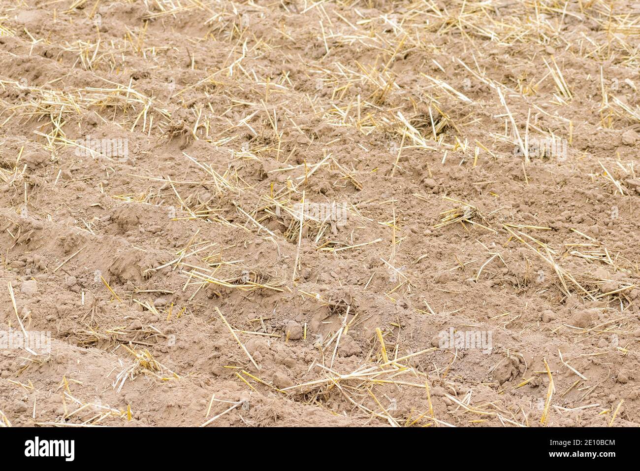 Soil background -Fotos und -Bildmaterial in hoher Auflösung – Alamy
