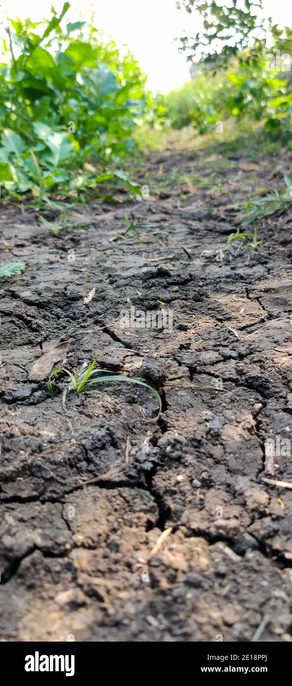 Tuta hua bildschirm ka foto -Fotos und -Bildmaterial in hoher Auflösung ...
