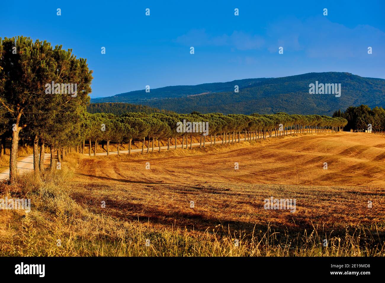 Orcia Tal Toskana Stockfotos und -bilder Kaufen - Alamy