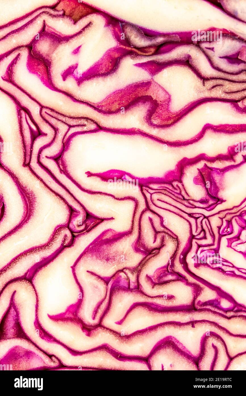 Red cabbage juice indicator -Fotos und -Bildmaterial in hoher Auflösung ...