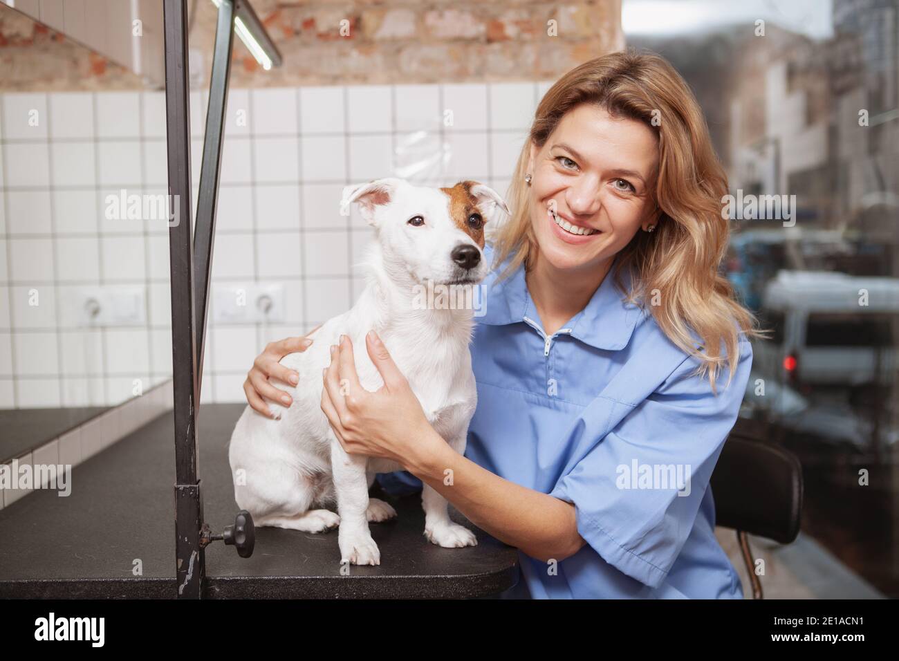 Hund Durch Reifen Stockfotos und -bilder Kaufen - Alamy
