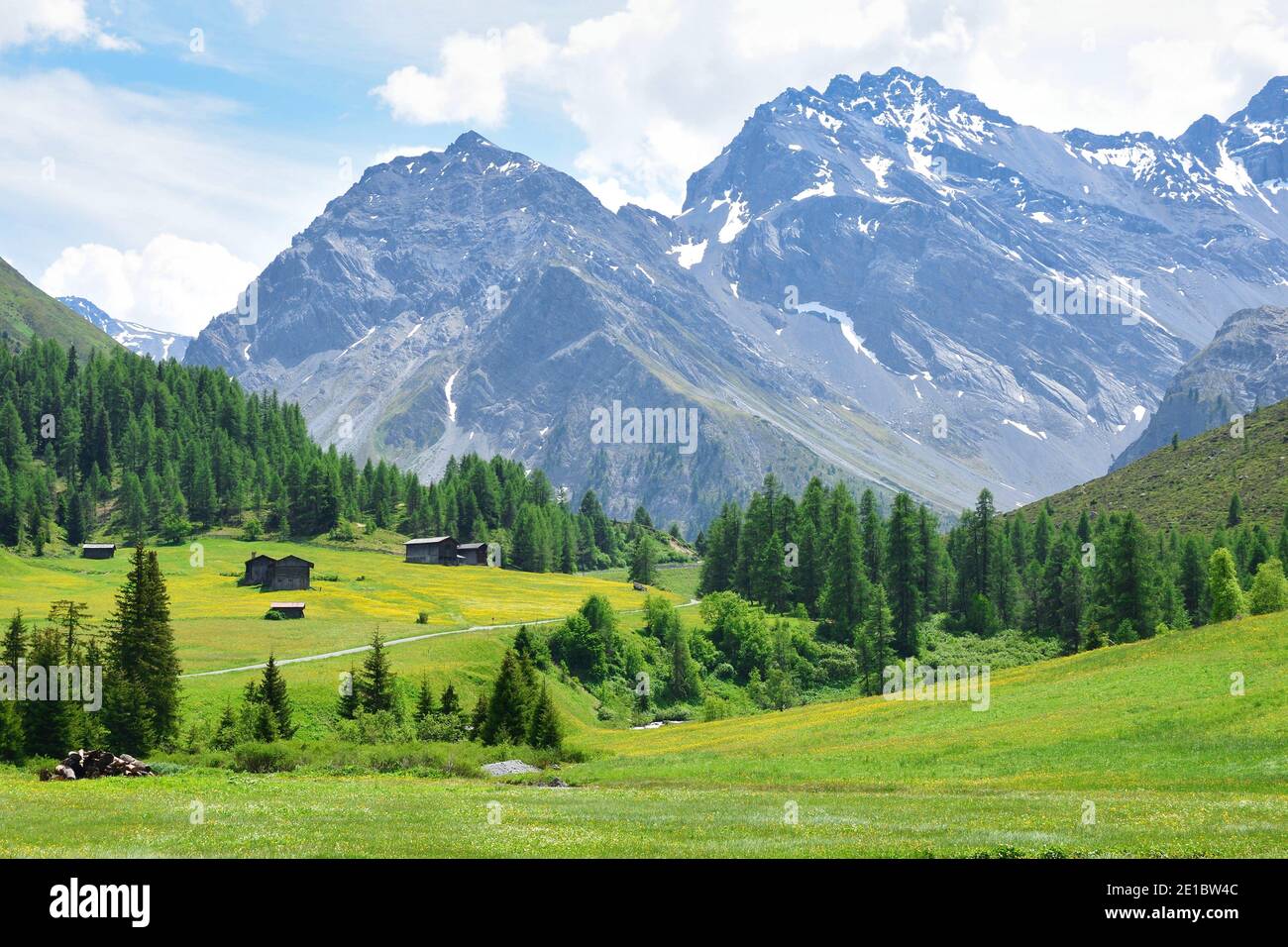 schweizer Bergtal mit Bergfluss und alpen im Hintergrund, Davos, Sertig ...