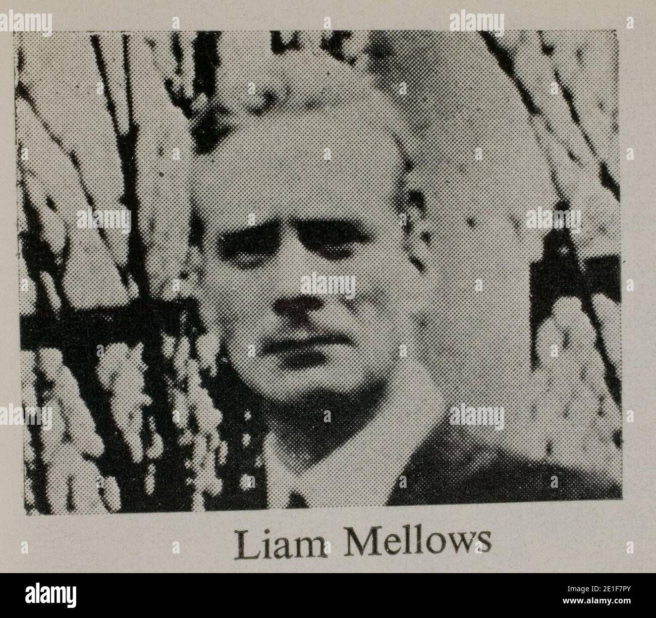 Liam mellows -Fotos und -Bildmaterial in hoher Auflösung – Alamy