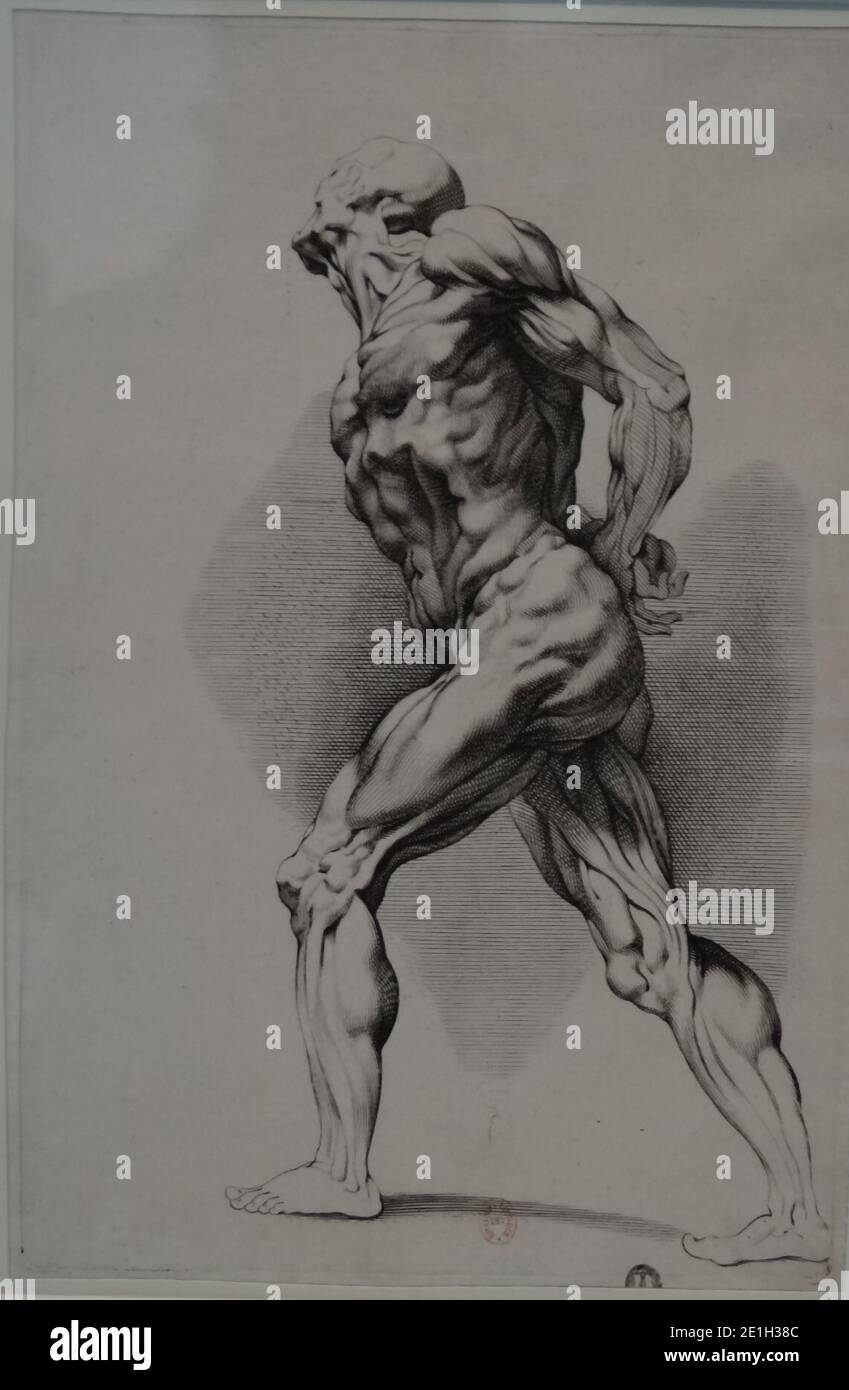 Louvre rubens -Fotos und -Bildmaterial in hoher Auflösung – Alamy