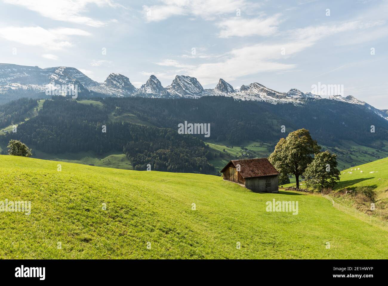 Churfirsten mountains in toggenburg -Fotos und -Bildmaterial in hoher Auflösung – Alamy