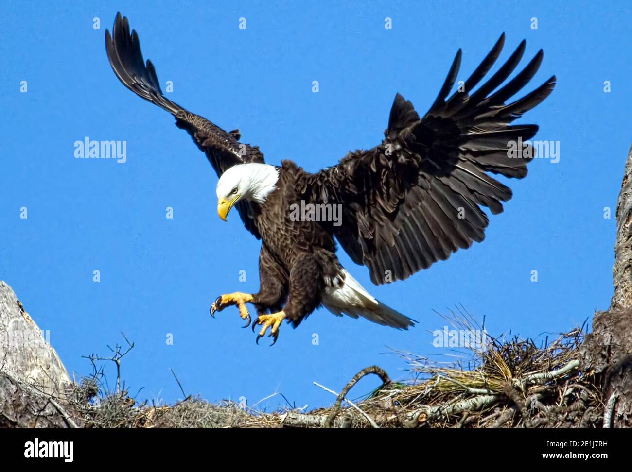 2 8i Stockfotos und -bilder Kaufen - Alamy