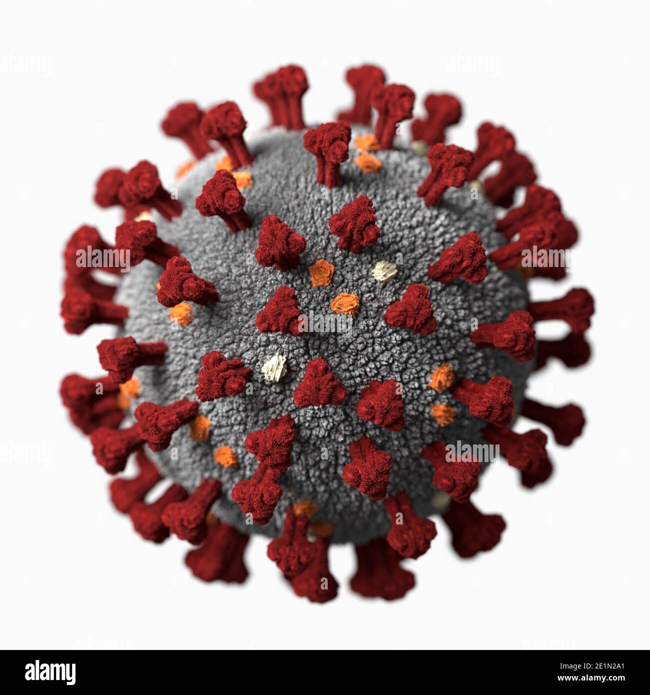Single stranded rna -Fotos und -Bildmaterial in hoher Auflösung – Alamy