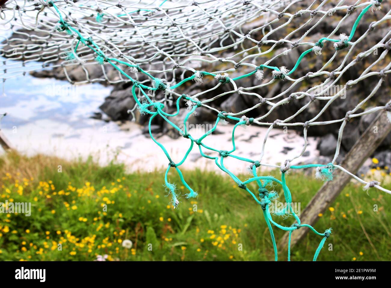 Netz voller fische -Fotos und -Bildmaterial in hoher Auflösung – Alamy