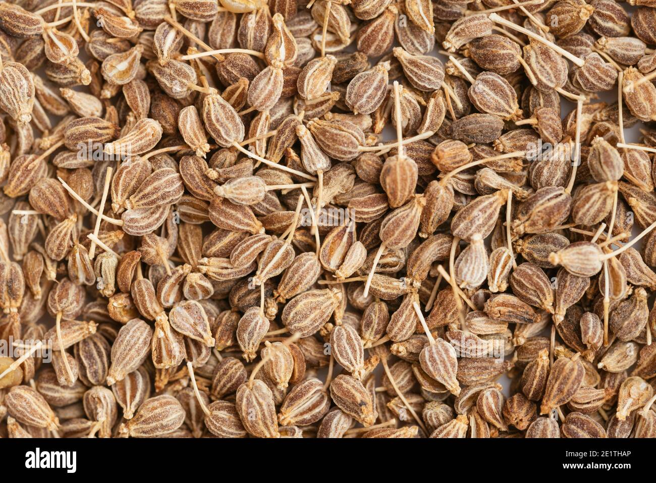 Anise seeds -Fotos und -Bildmaterial in hoher Auflösung – Alamy