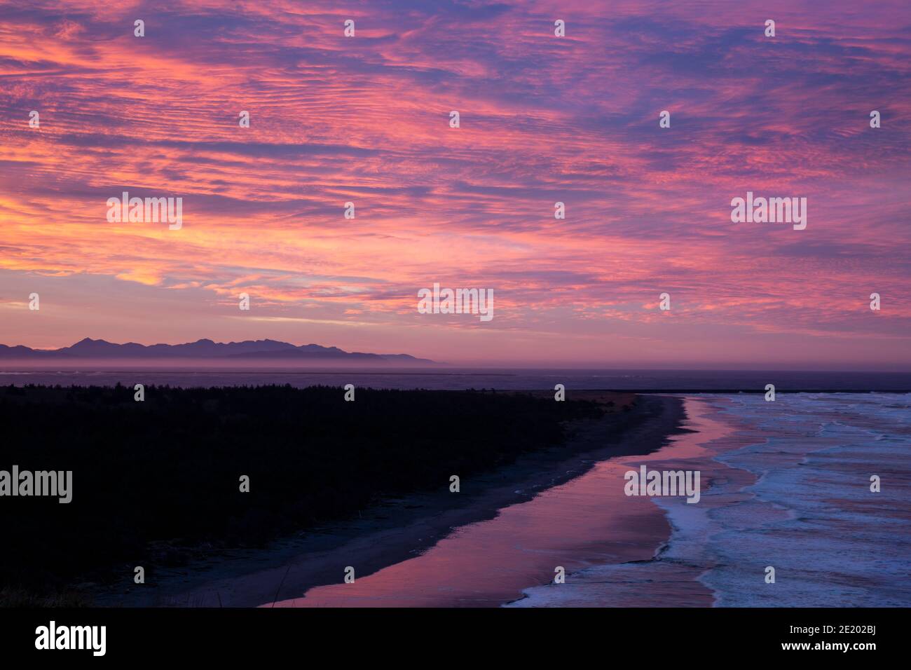 Tillamock kopf -Fotos und -Bildmaterial in hoher Auflösung – Alamy