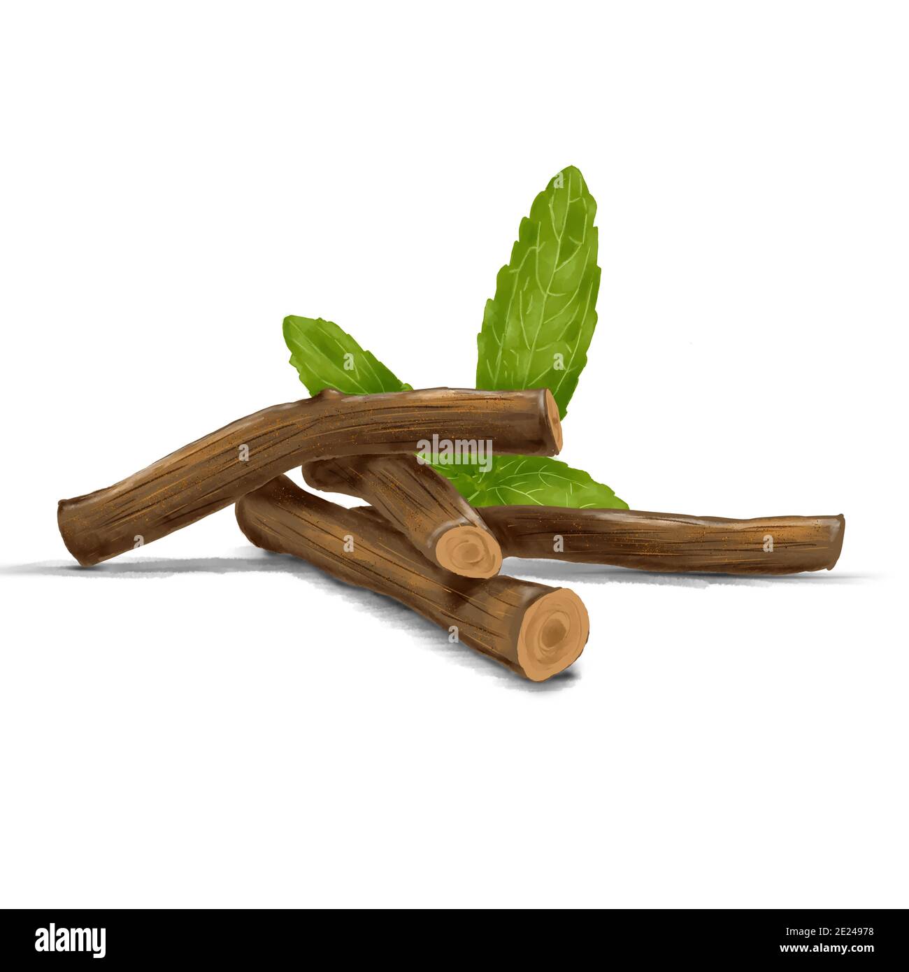 Licorice root illustration -Fotos und -Bildmaterial in hoher Auflösung ...