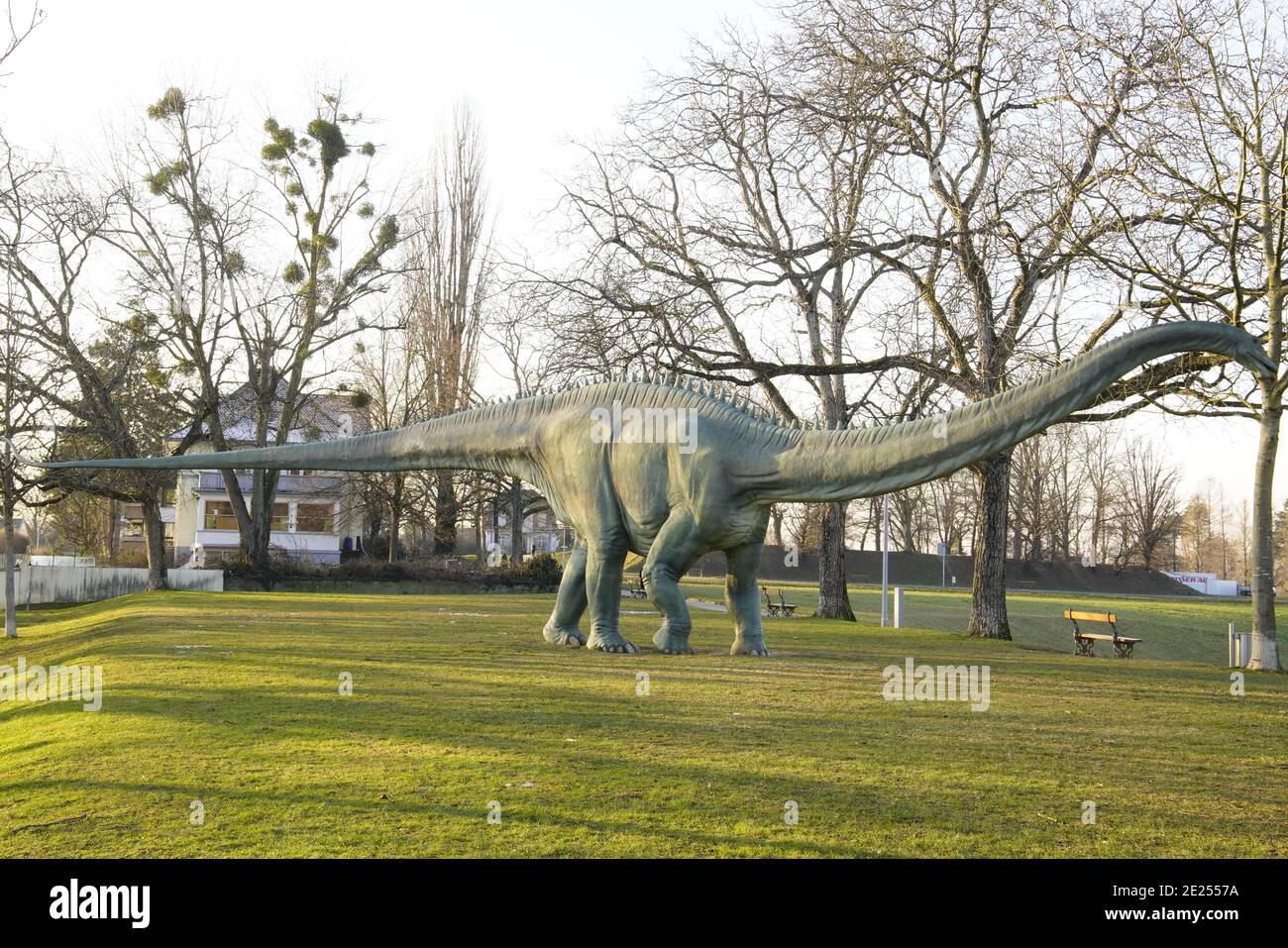 Dinosaurier, Diplodocus Saurier von Bruderholz Wasserturm in Basel ...