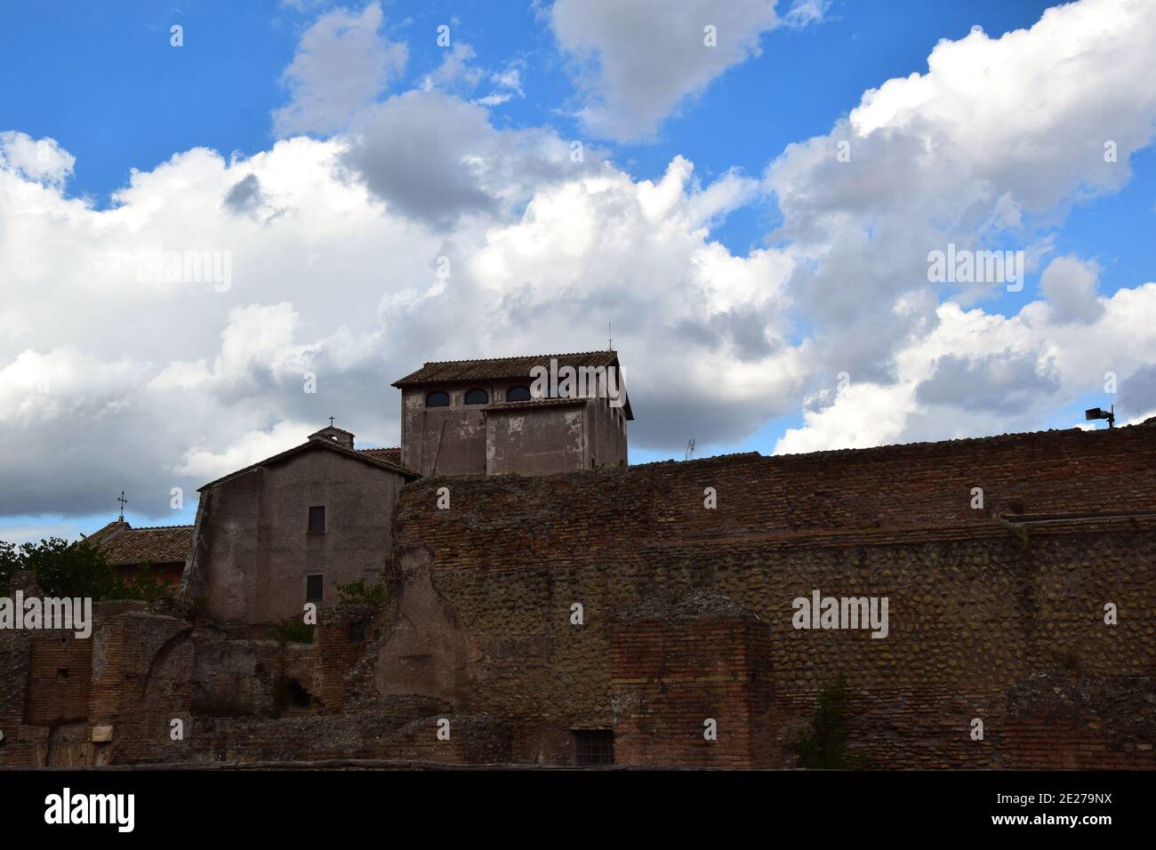 über flavia -Fotos und -Bildmaterial in hoher Auflösung – Alamy