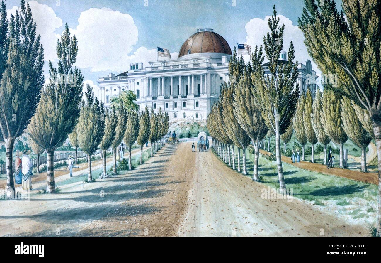 Vintage, Retro, Old, Photo, Century, Botanik, Grafik, Antiquitäten ...