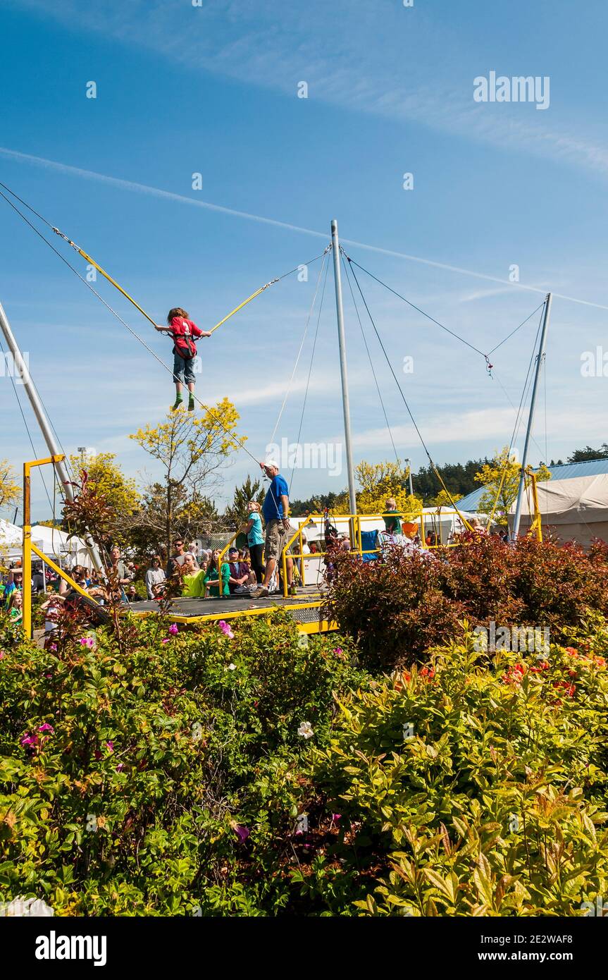 Bungee trampolin system -Fotos und -Bildmaterial in hoher Auflösung – Alamy