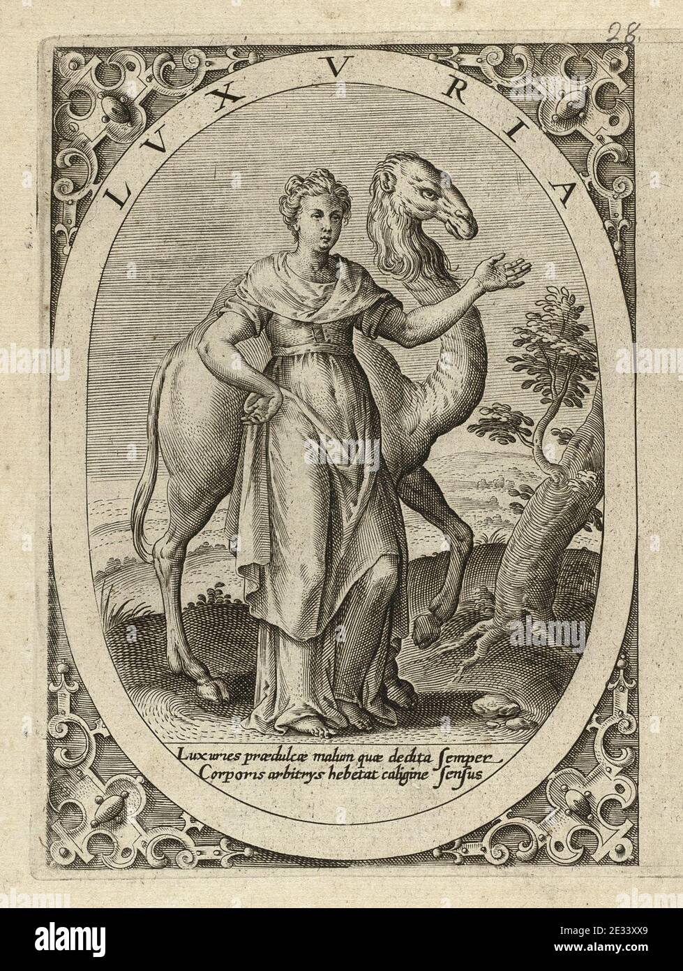 De kameel -Fotos und -Bildmaterial in hoher Auflösung – Alamy