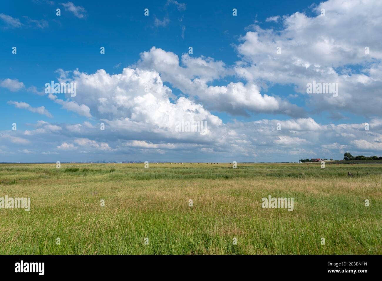 Landschaft mit Salzwiesen, im Hintergrund der Bremerhavener ...