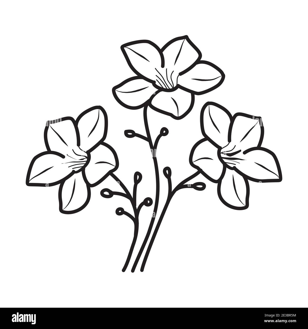 Alamanda Floral Von Hand Gezeichnet. Vektor-Design Illustration Zeichen ...